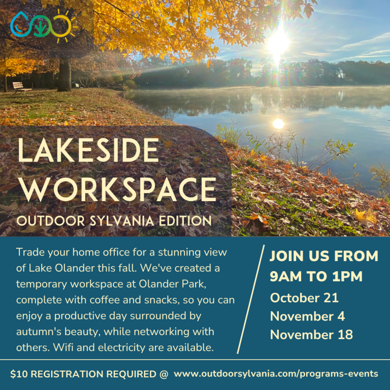 Lakeside Workspace | Sylvania Parks & Programs